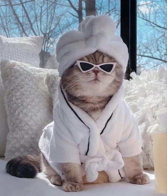 Skincare Piel Mixta: ¿Cuál es la mejor rutina para este tipo de piel?